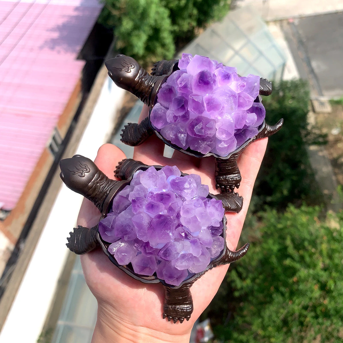 Amethyst Turtle Treasures – Monte Browne